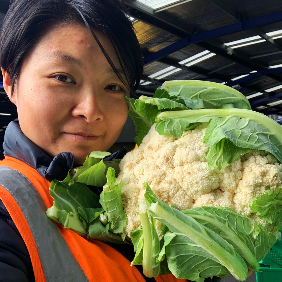 Wendy Zhou | TEDxAuckland